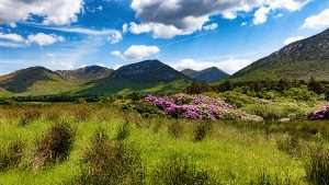 Large Group Tours: Explore Ireland Together with Go Irish Tours